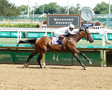Zadorsky - Horse Profile - BloodHorse