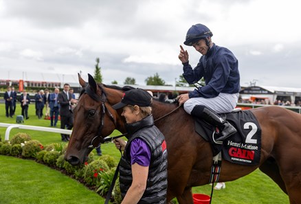 Henri Matisse (IRE) - Horse Profile - BloodHorse