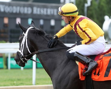 Emery - Horse Profile - BloodHorse