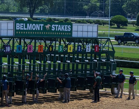 Meet the Field for the 156th Belmont Stakes - Slideshow - BloodHorse