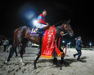 Ramjet (JPN) - Horse Profile - BloodHorse