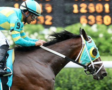 Pin Up Betty - Horse Profile - BloodHorse