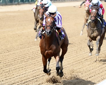 Zadorsky - Horse Profile - BloodHorse
