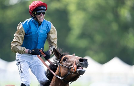 Haatem (IRE) - Horse Profile - BloodHorse