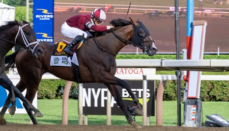 Dornoch - Horse Profile - BloodHorse