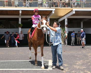Here's the Spider - Horse Profile - BloodHorse