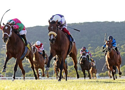 Poolside With Slim (IRE) - Horse Profile - BloodHorse