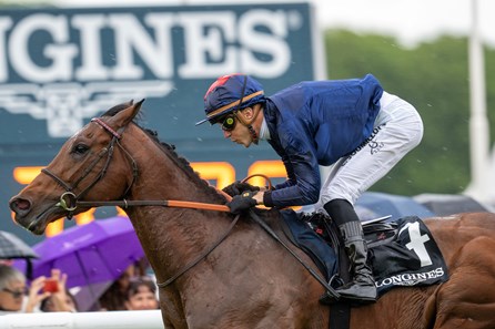 Delius (GB) - Horse Profile - BloodHorse