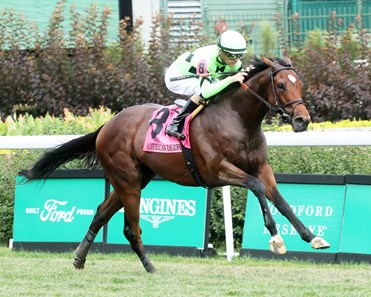 Brilliant Berti - Horse Profile - BloodHorse