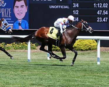 Indian Creed - Horse Profile - BloodHorse