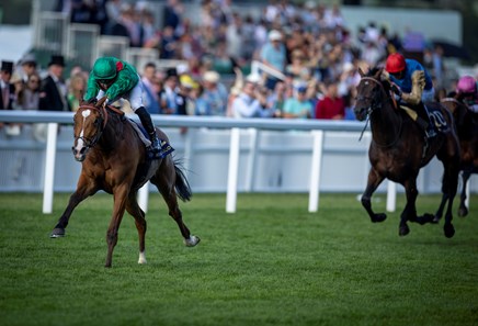 Calandagan (IRE) - Horse Profile - BloodHorse