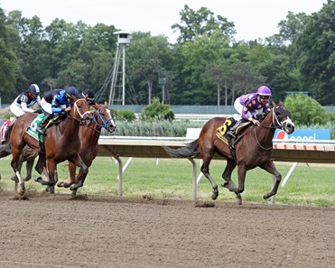 Belle's Blue Bell - Horse Profile - BloodHorse