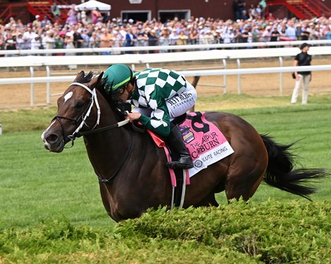 Turf Sprinter Cogburn Sizzles in Record Time in Jaipur - BloodHorse