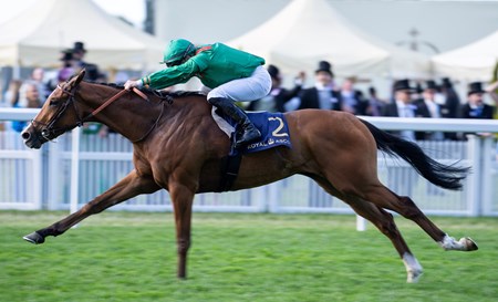 Calandagan (IRE) - Horse Profile - BloodHorse