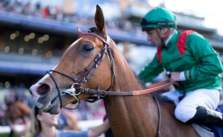 Calandagan (IRE) - Horse Profile - BloodHorse