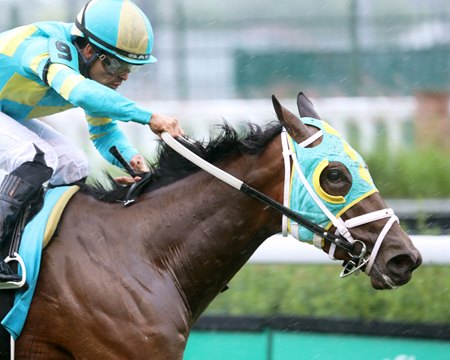 Pin Up Betty Looks for More Graded Success in Pucker Up - BloodHorse