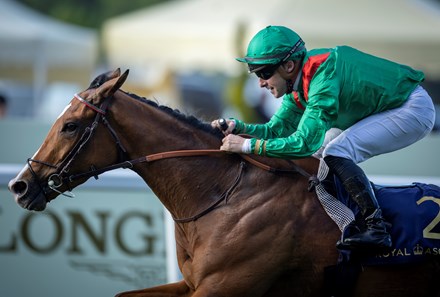 Calandagan (IRE) - Horse Profile - BloodHorse