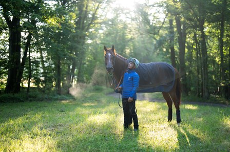 Metropolitan (FR) - Horse Profile - BloodHorse