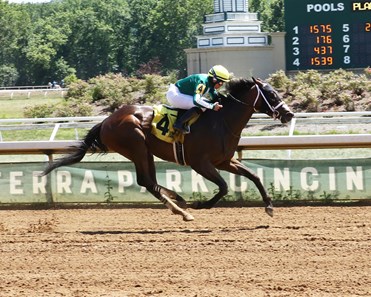 El Gunner - Horse Profile - BloodHorse