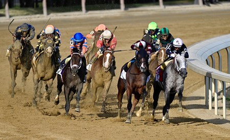 Dornoch - Horse Profile - BloodHorse