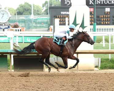 Owen Almighty - Horse Profile - BloodHorse