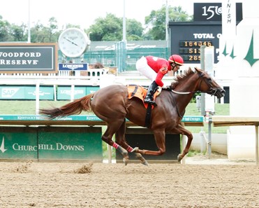 Princess Madison - Horse Profile - BloodHorse
