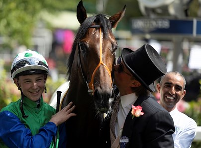 Rashabar (IRE) - Horse Profile - BloodHorse