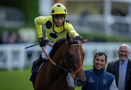 Rosallion (IRE) - Horse Profile - BloodHorse