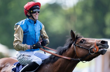 Haatem (IRE) - Horse Profile - BloodHorse