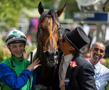 Rashabar (IRE) - Horse Profile - BloodHorse