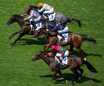 Simmering (GB) - Horse Profile - BloodHorse