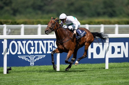Friendly Soul (GB) - Horse Profile - BloodHorse