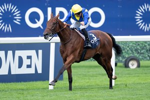 Global Thoroughbred Horse Racing Previews, Recaps, Video, and ...