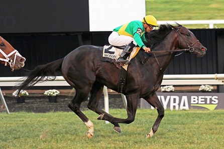 Apollo Ten - Horse Profile - BloodHorse