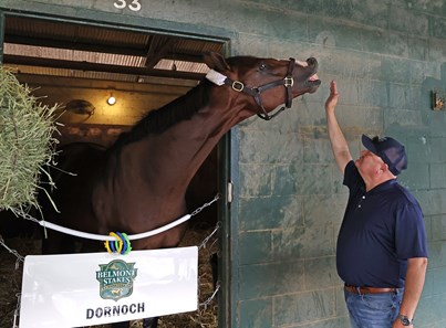 Dornoch - Horse Profile - BloodHorse