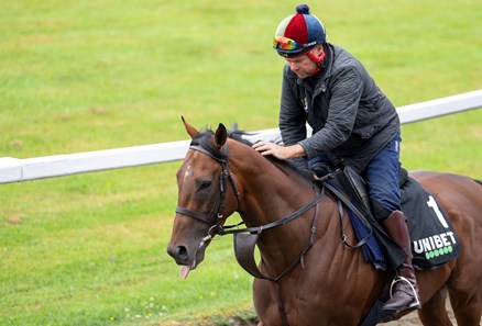 Rosallion (IRE) - Horse Profile - BloodHorse