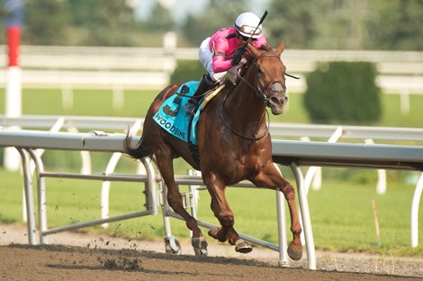 Two King's Plate Winners in Separate Stakes at Woodbine - BloodHorse