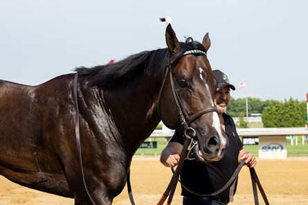 Mullikin - Horse Profile - BloodHorse