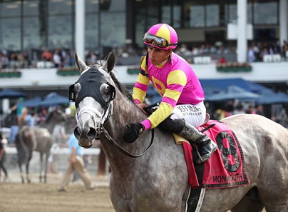 Tapit Trice - Horse Profile - BloodHorse