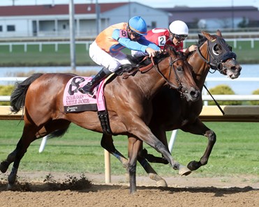 Chatalas - Horse Profile - BloodHorse