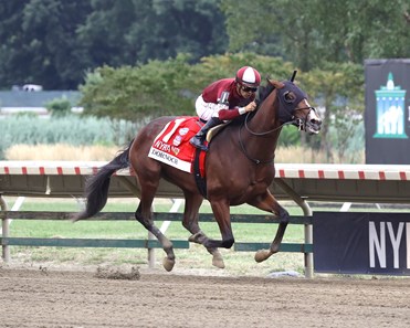Dornoch - Horse Profile - BloodHorse
