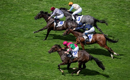 Simmering (GB) - Horse Profile - BloodHorse