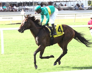 Integration - Horse Profile - BloodHorse