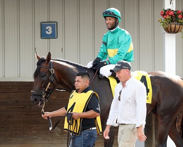 Integration - Horse Profile - BloodHorse