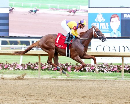 First Winner Begins Late Sire Improbable's Legacy - TrueNicks.com