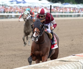 Dornoch - Horse Profile - BloodHorse