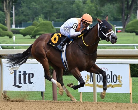 Spirit Wind Posts Front-Running Honorable Miss Victory - BloodHorse