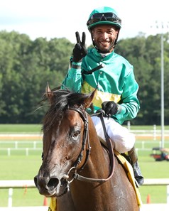 Integration - Horse Profile - BloodHorse