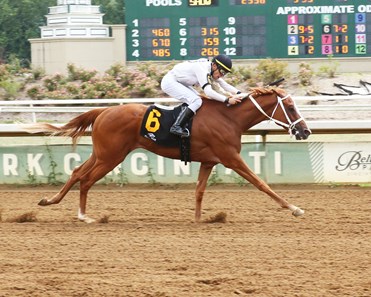 One Red Cent - Horse Profile - BloodHorse