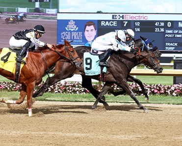 Monarch of Motion - Horse Profile - BloodHorse